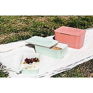 TAKENAKA Bento Bite Dual from, Eco-Friendly and Sustainable Japanese Style Bento Lunch Box (Tangerine Orange)