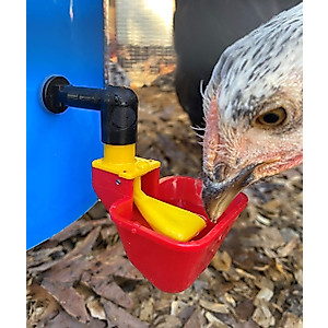 Backyard Barnyard 4 Pack NO PECK Poultry Cup Waterer Drinker for Chicken Ducks Quail (Hardware Included) Chooks Bebederos para Gallinas