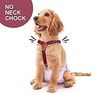 Pet Soft Dog Suspenders 2 Pieces Female Dog Diaper Suspenders for Dogs Diaper Keeper Suspender for Dog Skirt, Dog Dress (Brown & Burgundy, M/L)