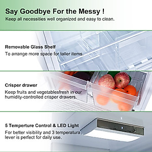 Frestec 14.6 CU' Refrigerator with Freezer, Apartment Size Refrigerator Top Freezer, 2 Door Fridge with Adjustable Thermostat Control, Freestanding, Door Swing, Stainless Steel (FR 1462 SL)