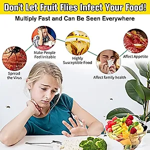 HiAnifri Fruit Fly Trap for Indoors, 2023 Upgrade Fruit Fly Trap with Double Side Sticky Trap, Non-Toxic Reusable Fly Catcher Gnats Killer Trap Indoor Comes with Bait for Home/Plant/Kitchen (2 Pack)