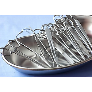 WG inc Kidney Tray Basin Emesis Stainless Steel 304 Grade Dental Surgical Utility Dish Thick Gauge Reusable containers Soiled dressings Mixing Organizers (Small (6 Inch))