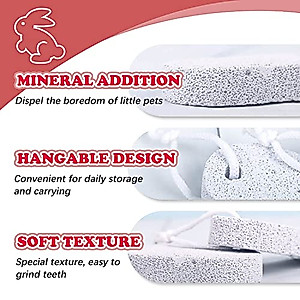 Rabbit Hay Feeder Bag, 2 Holes Hay Hanging Feeder Storage for Rabbit Guinea Pig Chinchilla, 600D Oxford Cloth Fabric with 1 Molar Stone (Black&Blue&Strawberry)