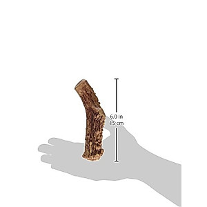 Pet Qwerks Nylon Antler Liver Flavor - Durable Dog Bones for Aggressive Chewers, Tough Nearly Indestructible Chew Proof Toys | Made in USA - for Large & Medium Dogs (A7)