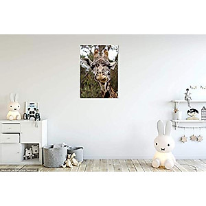 Funny Giraffe Photo on CANVAS Fine Art Print Zoo Animal Photography Children's Room Decor Ready to Hang