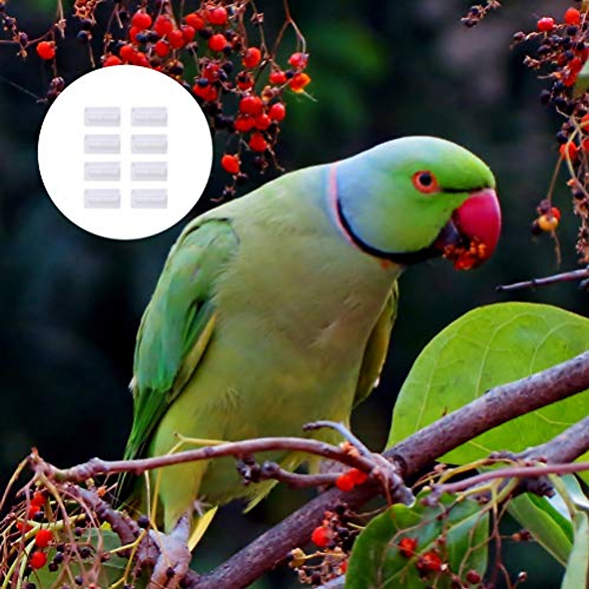 generic Dispenser Container 8pcs Bird Water Feeder Cup Bird Feeder Box Bird Food Feeder Parrot Food Box Pigeon Water Dispenser for Budgie Poultry Pigeon Quail Cages Feeder Parakeet Feeder