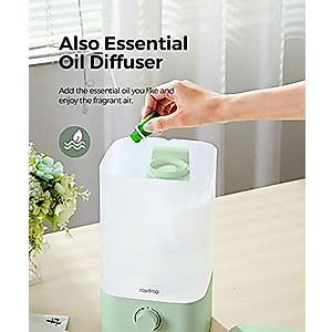 raydrop Cool Mist Humidifier Diffuser, 2.5L Essential Oil Diffuser, Top Fill Humidifier for Bedroom, Home and Office, Baby Humidifier with Adjustable Mist Output, Sleep Mode, Auto Shut Off