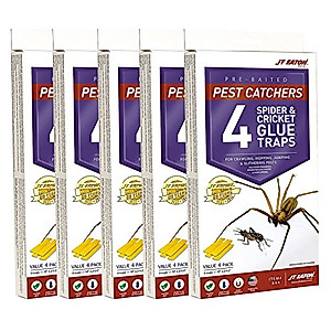 J T Eaton 076706844002 Spider and Cricket Glue Trap (Pack of 5), White Box