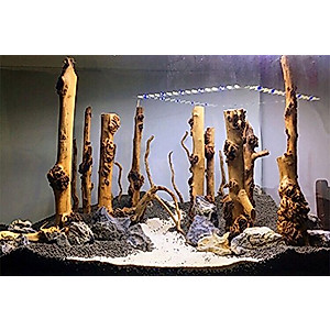 emours Reptile Décor Natural Forest Branch Terrarium Wood Aquarium Ornament, 4 Pack