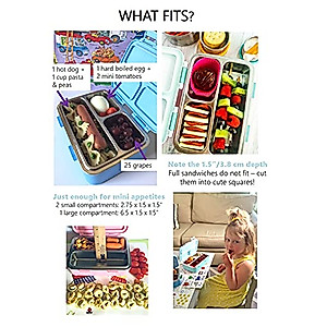 Stainless Steel Mini Lunch Box for Toddler Daycare, Baby Bento for Kids, Eco Metal Portion Sections Leakproof Lid, Pre-School Lunches and Snack Container Ages 3 and up (Soft Green)