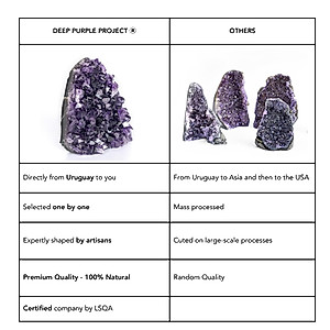DEEP PURPLE PROJECT 1 Lb Quartz Crystal Cluster Raw Amethyst Stone Plus: GIFT WRAP BOX INCLUDED