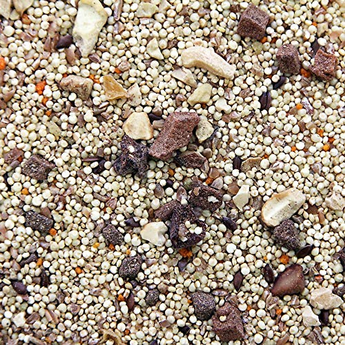 Higgins 2 Pack of Worldly Cuisines African Sunset Bird Treat, 2 Ounces Each