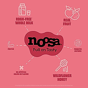 noosa Yoghurt, Strawberry Rhubarb, 8oz, Probiotic, Whole Milk Yogurt, Real Strawberries, Rhubarb, No Artificial Ingredients, Gluten Free
