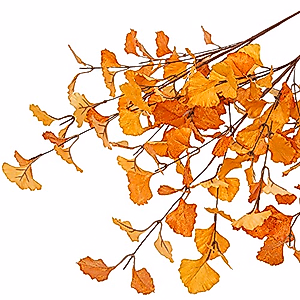 VGIA 6 Pcs Artificial Ginkgo Leaves Stems Fall Leaf Spray Flower Arrangement for Vase Silk Autumn Leaves Stems Fall Decorations for Room Kitchen Office