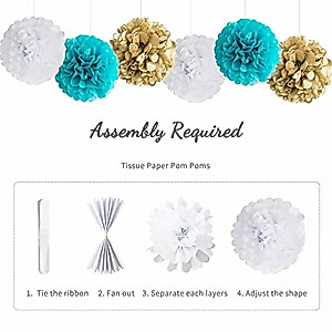 ANSOMO Teal Blue and Gold Happy Birthday Party Decorations Banner Turquoise Aqua Foil Fringe Curtain Tissue Pom Poms Balloons