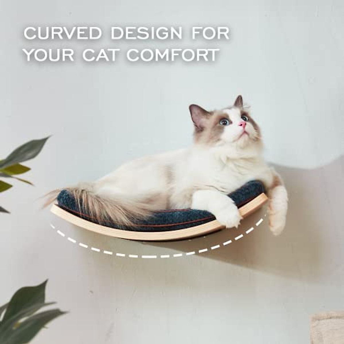 LIORCE Cat Shelf with Comfortable Cat Cushion - Curved Cat Shelves and Perches for Wall (Medium Size) - Wall Mounted Cat Furniture for Sleeping, Playing, Climbing, and Lounging