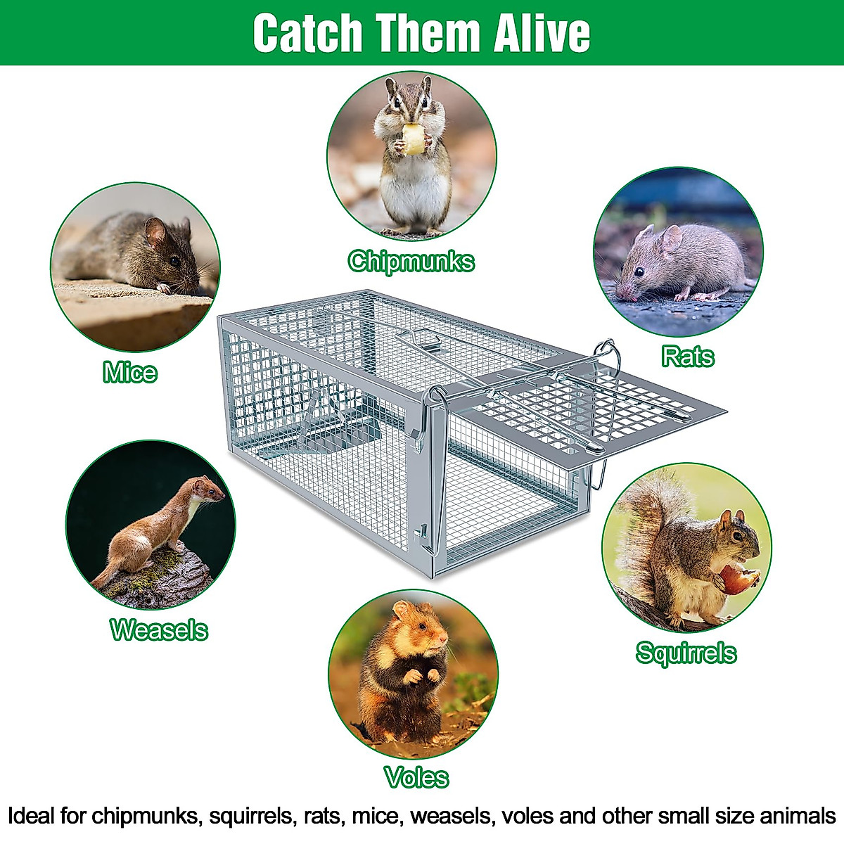 2 Packs Humane Rat Trap Outdoor, Wanqueen Humane Mouse Traps Indoor, Small Rodent Chipmunk Squirrel Trap and Other Live Animal Cage Catch and Release