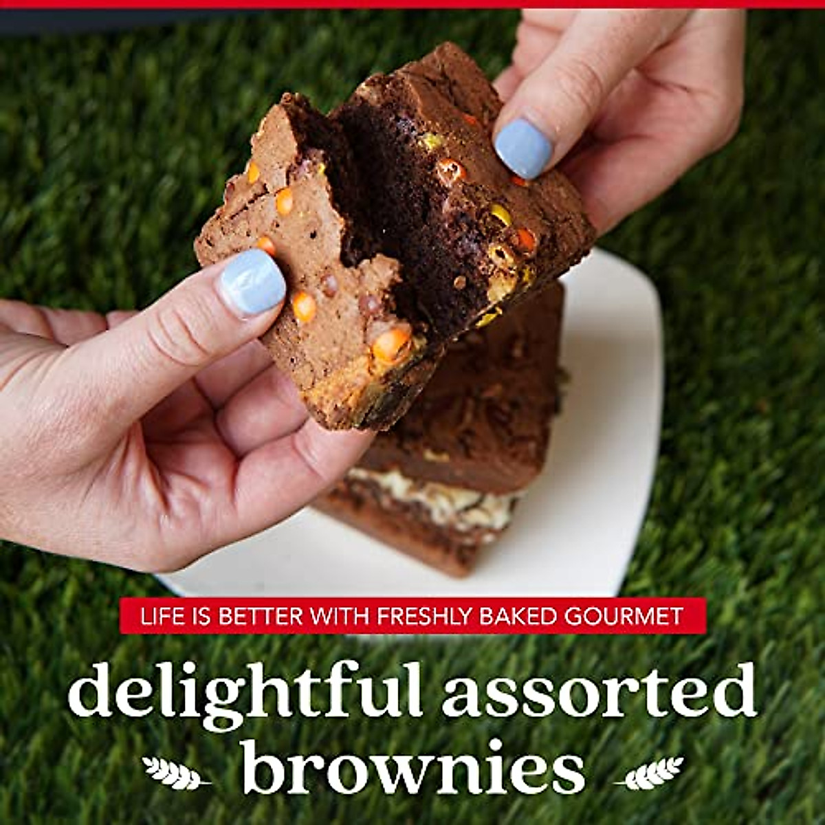 DAVID'S COOKIES Assorted Brownies in Carton Box |Enjoy Our Delicious, Great for Sharing Freshly-Baked Assorted Brownie Snacks While Watching The Superbowl - Single Pack