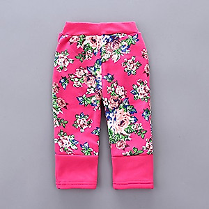 Spring Autumn Winter Little Baby Girls Clothing Set Warm Velvet Hoodie and Pants (18-24Months, Red)