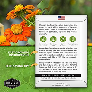 Survival Garden Seeds - Mexican Sunflower Seed for Planting - Packet with Instructions to Plant and Grow Tithonia Rotundifolia in Your Home Vegetable or Flower Garden - Non-GMO Heirloom Variety