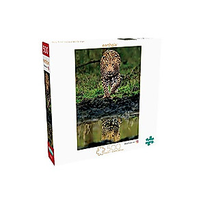 Buffalo Games - Allure of The Untamed - 500 Piece Jigsaw Puzzle