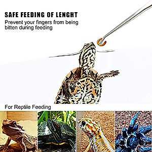 Longjet Feeding Tongs, 2 Pcs 10.6 Inch Stainless Steel Long Tweezers Forceps, for Reptile Lizards, Gecko, Bearded Dragon, Snake, Turtle Feeder and Aquarium Aquatic Plant Bonsai Starter Tools