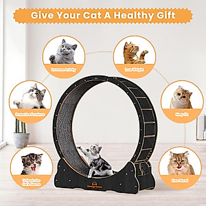 Homegroove Cat Exercise Wheel for Indoor Cat, 40" Large Cat Running Wheel with Carpeted Runway, Cat Treadmill Wheel for Kitty’s Longer Life, Cat Wheel for Fitness Weight Loss Device, Black(L)