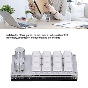 plplaaoo One Handed Mechanical Keyboard, Gaming Keyboard,Gaming Keypad,Mini USB Keypad 12 Key Multifunctional Shortcut Programmable Keyboard with 2 Knob for Gaming, one Handed Mechanical Keyboard