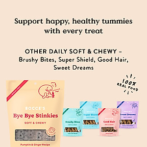 Bocce's Bakery Digestive Support Dog Treats, Wheat-Free Pumpkin Ginger, 6 oz Bag