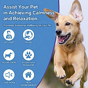 WEALLIN Hemp Oil for Dogs and Cats, Rich in Omega 3, 6, 9 and Organic Extract Helps Pets with Anxiety, Pain, Skin and Coat Health, Stress, Hip and Joint Support, Pet's Calming Treat (1 Pack)