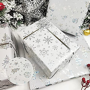 LDGOOAEL Christmas Wrapping Paper Roll with Cut Lines on Reverse - Metallic Silver foil for Holiday, Chistmas, Birthday, Wedding, Baby Shower - 4 Roll - 30Inch X 10Feet Per Roll
