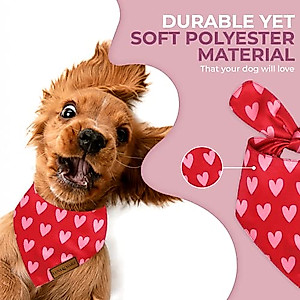 LunaMarie - Luxury Cat and Dog Bandanas - Hearts Designs | Premium Silky Poly Fabric | 100% Handmade Custom Shape Valentine's Day Dog Bandana Multiple Sizes (Evie Hearts, Small)