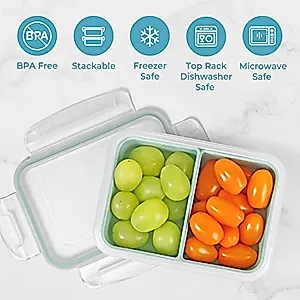 carrotez Food Storage Containers 2 Compartment, Meal Prep Container, Lunch Containers, Portion Control Container, BPA Free, Airtight Lids, Reusable, Snack Containers, 2 Cup (480ml)