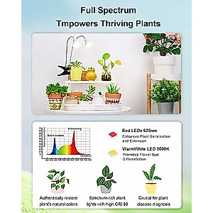 DOMMIA Grow Lights for Indoor Plants,Full Spectrum Grow Light with Warmwhite Red LED,Dual Head Clip on Plant Light for Indoor Plants,ON/Off Switch,Adjustable Gooseneck Plant Light for House Plants