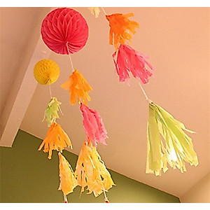 DIY Tissue Paper Tassels Party Decoration Supplies Sets 15 PCS Tassel Garland Banner for Birthday Party Bridal Shower Wedding Gold Garland Bunting Pom Pom (GM-Gold and Green)