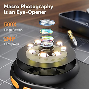 Digital Microscope Fixed Focus-200X Pocket Magnifying Glass, 3-Level Adjustable LED Lights Portable Handheld Mini Microscope,USB Compatible with, Windows, Mac OS