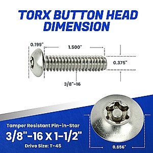 Fastenere Torx Security Machine Screws - 3/8-16 x 1-1/2" (5-Pack) Stainless Steel, Tamper-Resistant, Button Head Screws, Bolt Screw for Higher Level of Safety & Theft Prevention