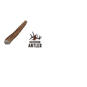 Elk Antlers for Dogs - Medium Size 5-8” All Natural Premium Grade A - Deer Antlers for Dogs, Pets, and Puppies- Dog Antler Chews - Long Lasting - Single Pack