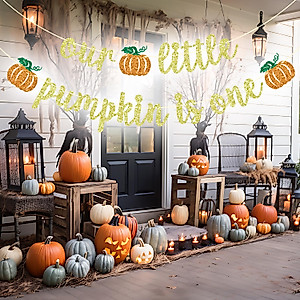 Our Little Pumpkin is One Banner, Little Pumpkin 1st Birthday Decorations, Fall First Birthday Banner, Fall Pumpkin Baby Shower Birthday Party Decorations, Gold Glitter