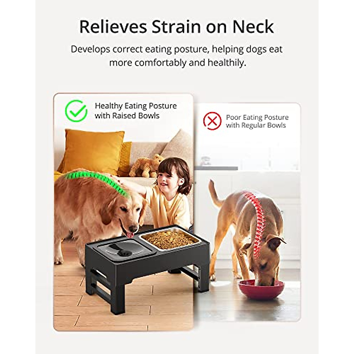 Petace Elevated Dog Bowls, Raised Dog Bowl Stand with No Spill Dog Water Bowl & Stainless Steel Dog Food Bowl, 4 Heights Adjustable for Small Medium Large Dogs and Pets