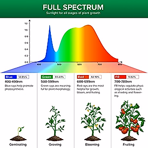 SANSI Grow Light Bulb with COC Technology, PPF 65.6 umol/s LED Full Spectrum, 36W Grow Lamp (400 Watt Equivalent) with Optical Lens for High PPFD, Energy Saving Plant Lights for Seeding and Growing