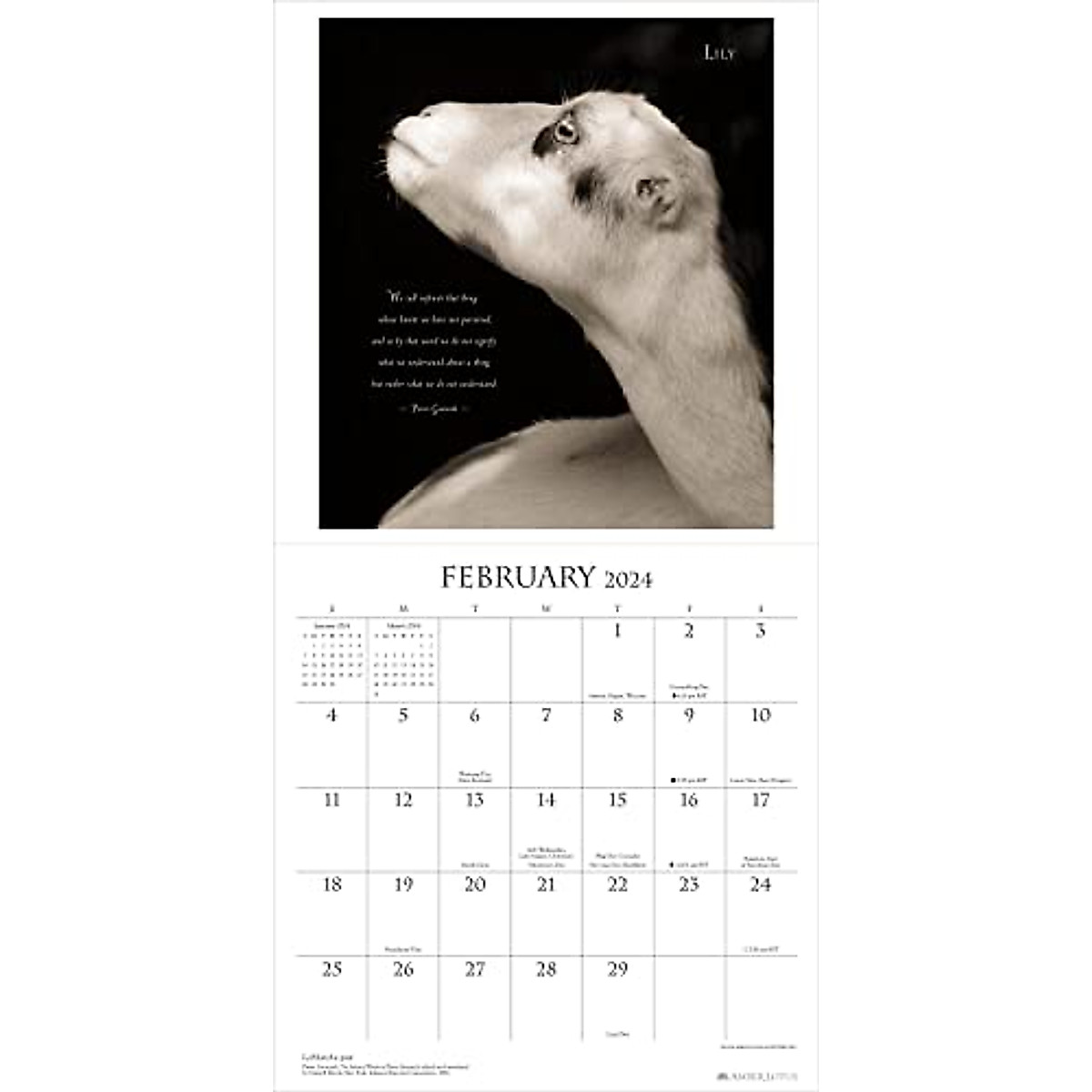 I Am Goat 2024 Wall Calendar: Animal Portrait Photography by Kevin Horan and Wisdom From Nature's Philosophers | 12" x 24" Open | Amber Lotus Publishing