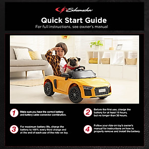 Schumacher Electric 12V Battery for Ride on Toys - TB4 12V 12 Amp Hours with Replaceable Fuse - Rechargeable 12V Ride On Replacement Battery for Peg Perego Vehicles - Safe & Easy to Use