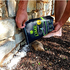 First Saturday Lime for Insects 20lb