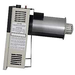 Ashley Hearth Products DVAG17N 17,000 BTU Direct Vent Natural Gas Heater, Cream