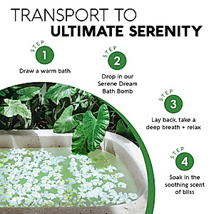 Nature's Beauty Eucalyptus & Tea Tree Bath Bomb Multi-Pack- Natural Hand Crafted, Non-Staining, Luxury Fizzy Spa Bomb, Sooth + Restore Skin, Made w/ Coconut Oil & Witch Hazel, 4.6oz (4 Pack)