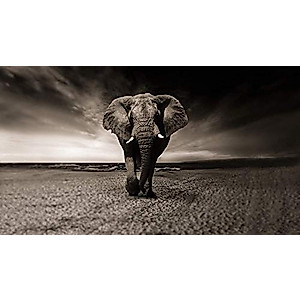 Wooden Jigsaw Puzzles 1000 Piece for Adults,Elephant Puzzles Wild Animals Natural Scenery,Every Piece is Unique,Softclick Technology,Best Game for Family