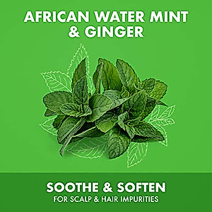 SheaMoisture Hair & Scalp Clarifying Conditioner for Curls African Water Mint Paraben Free 13 oz