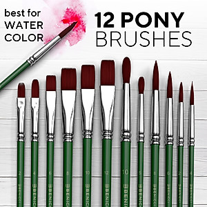 40 Pieces Professional Artist Paint Brush Set with Storage Case - Includes Round and Flat Art Brushes with Hog, Pony, Nylon Hair Bristles - Perfect for Acrylics, Watercolor, Gouache, Oil and Fabric