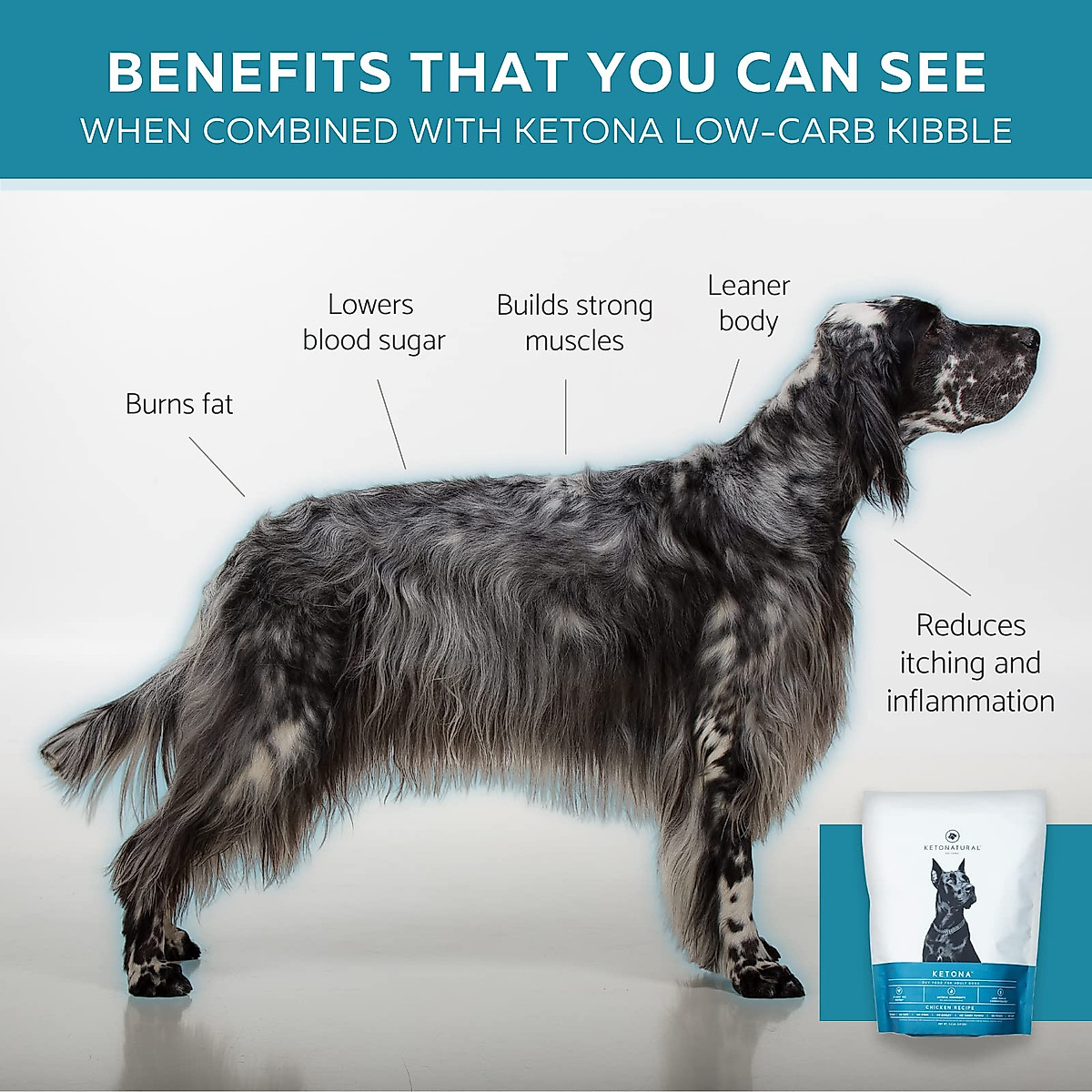 Ketona Daily Mobility Chews for Dogs, Natural Duck Flavor, Healthy Supplements to Lubricate Joints and Promote Healthy Mobility, Natural and Organic Ingredients – 120 Count